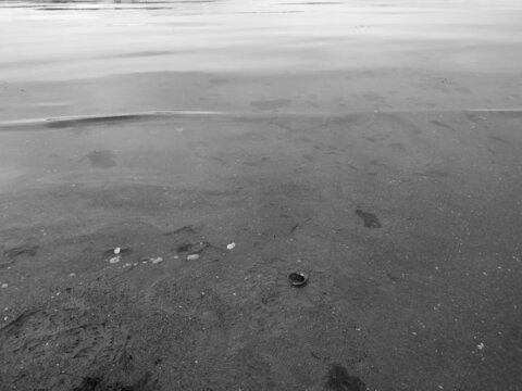 「Lape」の画像 - 19,988 件の Stock 写真、ベクターおよびビデオ | Adobe Stock