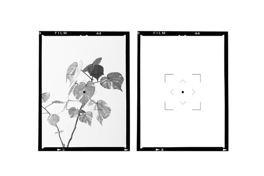 "Medium Format Frame" Images – Browse 454 Stock Photos, Vectors, and ...