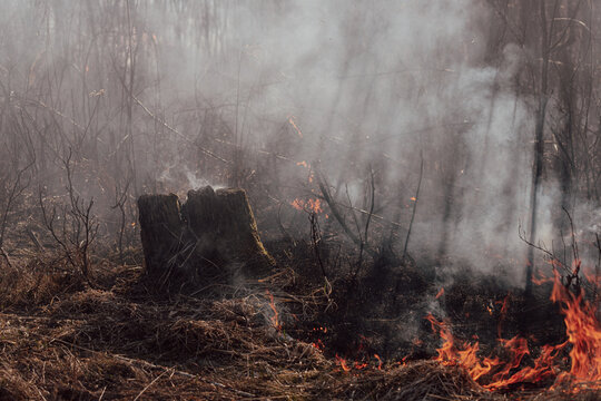 Imagens de Conflagration – Explore Fotografias do Stock, Vetores e ...