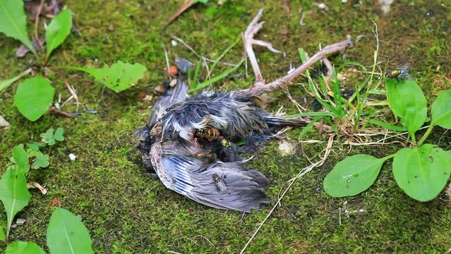 รูปภาพApathique – เลือกดูภาพถ่ายสต็อก เวกเตอร์ และวิดีโอ27 | Adobe Stock