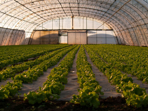 「Acrecentar」の画像 - 5,783 件の Stock 写真、ベクターおよびビデオ | Adobe Stock