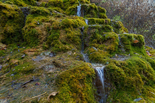 รูปภาพSalvatory – เลือกดูภาพถ่ายสต็อก เวกเตอร์ และวิดีโอ73 | Adobe Stock