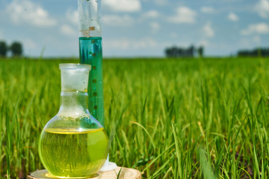Agrochemistry Images – Browse 1,016 Stock Photos, Vectors, and Video ...