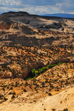 Hogback Imagens – Procure 965 fotos, vetores e vídeos | Adobe Stock