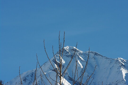 Imágenes de Nevoso: descubre bancos de fotos, ilustraciones, vectores y ...