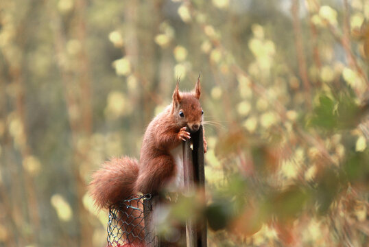 「Chillig」の画像 - 747 件の Stock 写真、ベクターおよびビデオ | Adobe Stock
