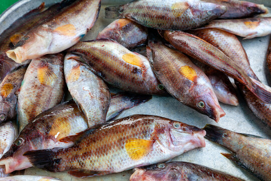 Afbeeldingen over "Fish Market" – Blader in stockfoto's, vectoren en ...