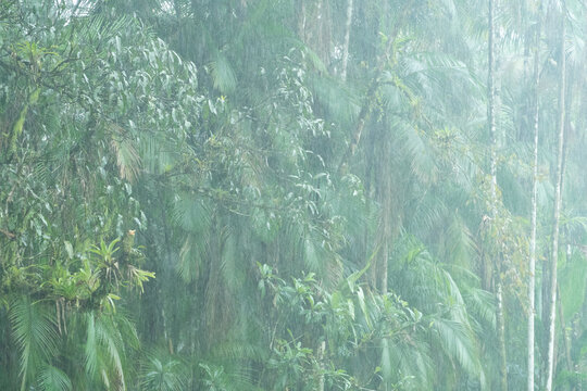 Mata Images – Browse 16,583 Stock Photos, Vectors, and Video | Adobe Stock