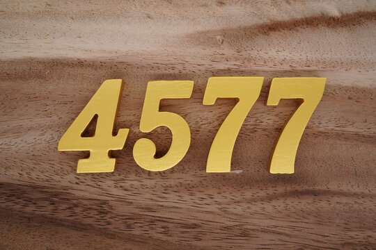 4577 이미지 – 찾아보기 127 스톡 사진, 벡터 및 비디오 | Adobe Stock