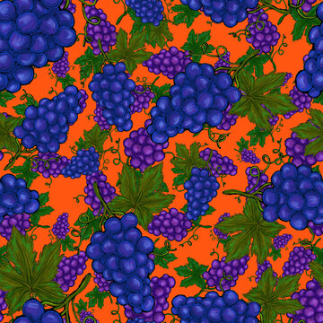 Grapevine Images – Browse 1,268,694 Stock Photos, Vectors, and Video ...