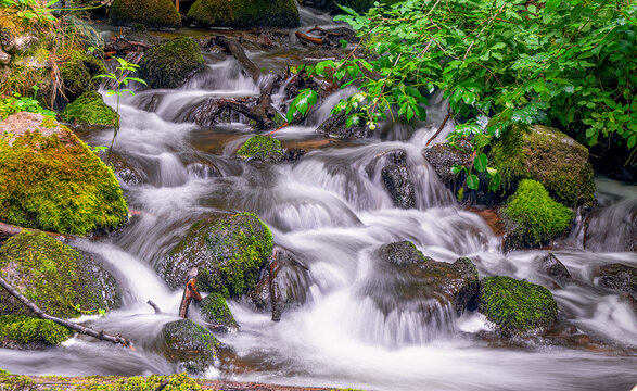 Strumyk Bilder – Durchsuchen 1,856 Archivfotos, Vektorgrafiken und ...