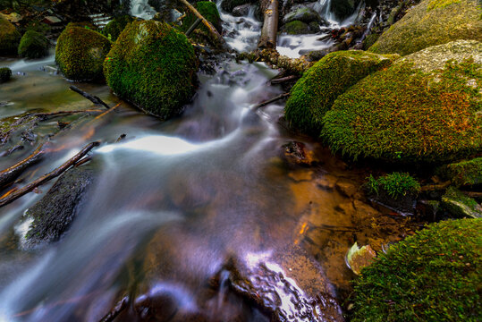 Imágenes de Strumyk: descubre bancos de fotos, ilustraciones, vectores ...