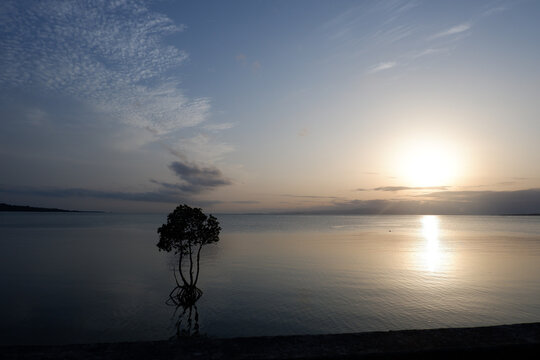 Subtropen Bilder – Durchsuchen 23,956 Archivfotos, Vektorgrafiken und ...