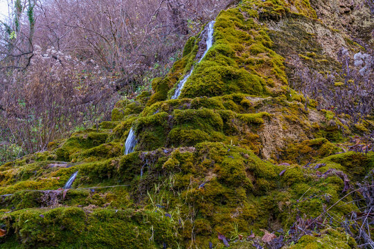 รูปภาพSalvatory – เลือกดูภาพถ่ายสต็อก เวกเตอร์ และวิดีโอ73 | Adobe Stock