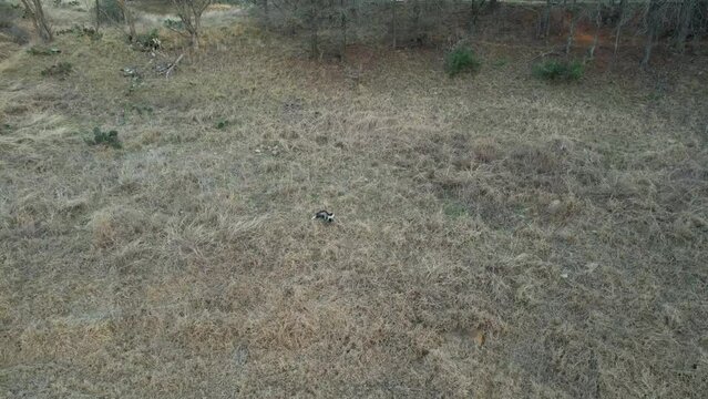 Static Video Footage – Browse 200,422 HD Stock Video and Footage ...