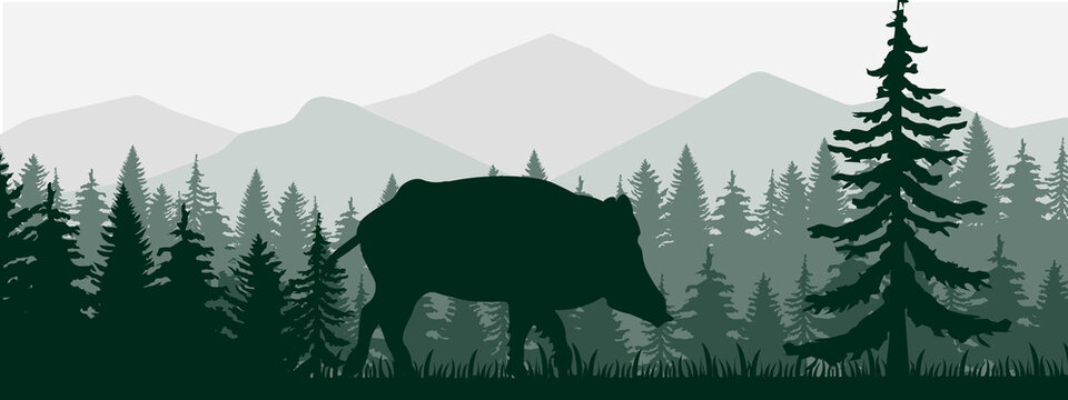 "Isolated Image" Images – Browse 2,436 Stock Photos, Vectors, and Video ...