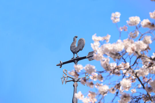 ほん Images – Browse 878 Stock Photos, Vectors, and Video | Adobe Stock