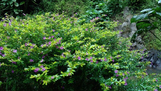 Allyson Images – Browse 16 Stock Photos, Vectors, and Video | Adobe Stock