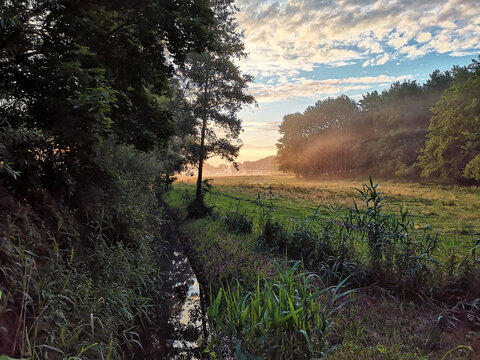 Schorf Bilder – Durchsuchen 303 Archivfotos, Vektorgrafiken und Videos ...