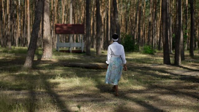 "Extreme Wide Shot" Images – Browse 1,183 Stock Photos, Vectors, and ...