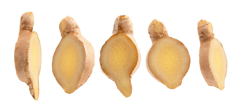 Rhizome bilder – Bläddra bland 23,985 stockfoton, vektorer och videor ...