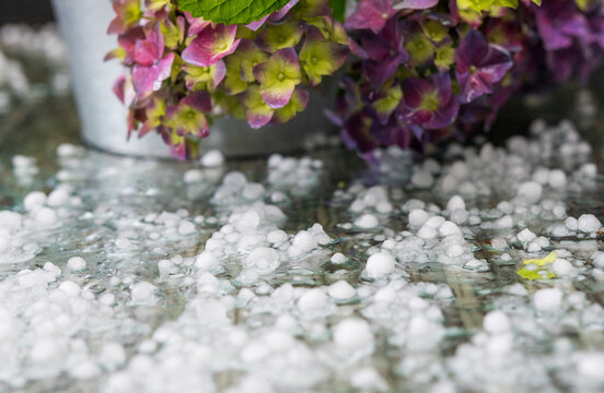 「Gradobicie」の写真素材 | 16件の無料イラスト画像 | Adobe Stock