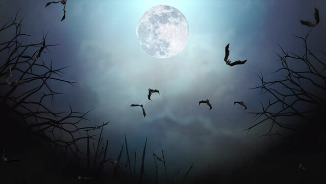 "Spooky Screen For Images – Browse 36 Stock Photos, Vectors, and Video ...