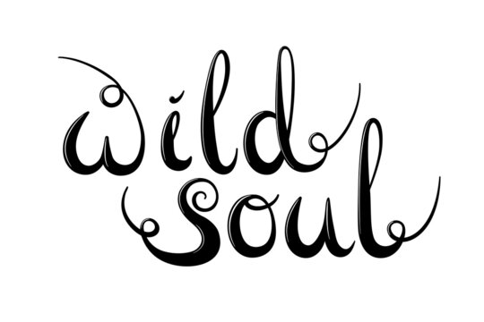 Highlit bilder – Bläddra bland 44 stockfoton, vektorer och videor ...