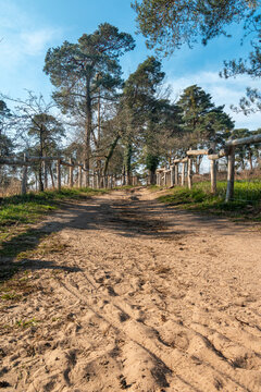 Imágenes de Sandweg: descubre bancos de fotos, ilustraciones, vectores ...