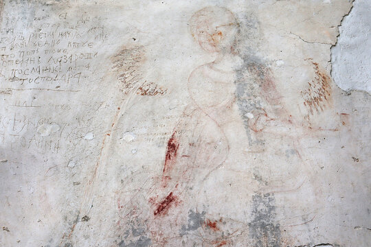 รูปภาพMoracha – เลือกดูภาพถ่ายสต็อก เวกเตอร์ และวิดีโอ184 | Adobe Stock