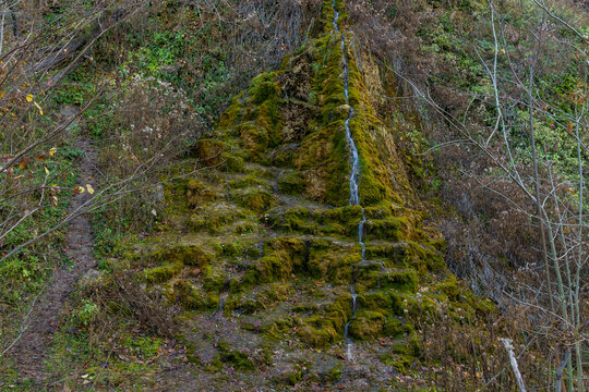 รูปภาพSalvatory – เลือกดูภาพถ่ายสต็อก เวกเตอร์ และวิดีโอ73 | Adobe Stock