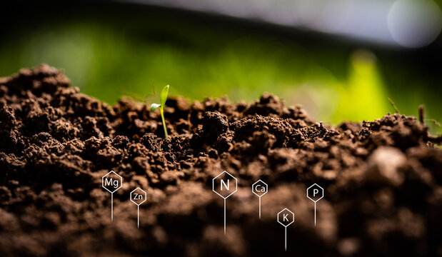 Schippe Bilder – Durchsuchen 94,538 Archivfotos, Vektorgrafiken und ...