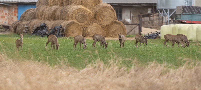รูปภาพSarny – เลือกดูภาพถ่ายสต็อก เวกเตอร์ และวิดีโอ781 | Adobe Stock