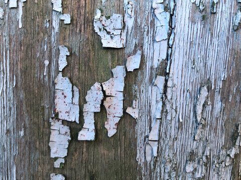 "Flake Off" Immagini - Sfoglia 1,210 foto, vettoriali e video Stock ...
