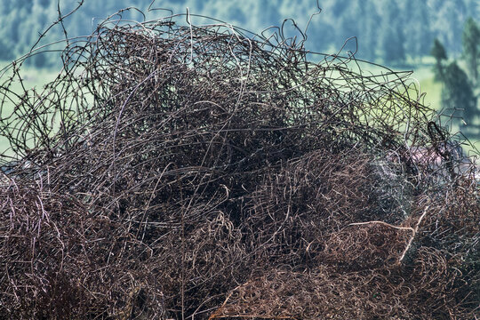 Wireline Images – Browse 537 Stock Photos, Vectors, and Video | Adobe Stock