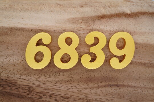 「6839」の写真素材 | 65件の無料イラスト画像 | Adobe Stock