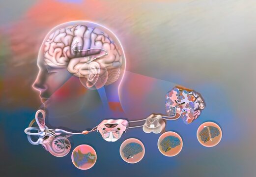 Tectum Images – Browse 60 Stock Photos, Vectors, and Video | Adobe Stock