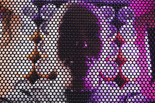 รูปภาพFraben – เลือกดูภาพถ่ายสต็อก เวกเตอร์ และวิดีโอ88 | Adobe Stock