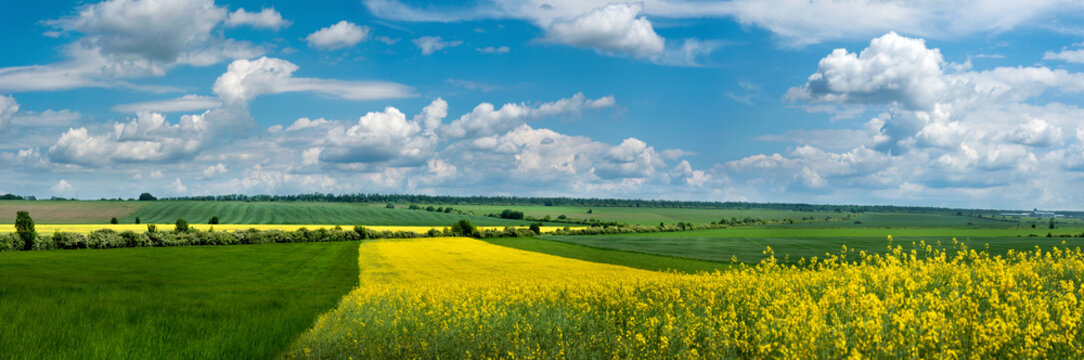 Beautiful Farmland