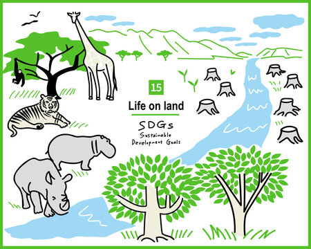 Cavas Bilder – Durchsuchen 22,225 Archivfotos, Vektorgrafiken und ...