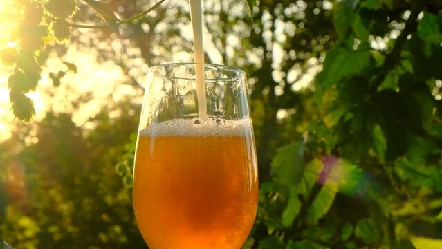 Beer Video Footage – Browse 102,483 HD Stock Video and Footage | Adobe ...