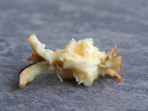 รูปภาพGnawed – เลือกดูภาพถ่ายสต็อก เวกเตอร์ และวิดีโอ23,503 | Adobe Stock