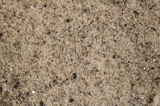 "Sand Grains" Bilder – Durchsuchen 957 Archivfotos, Vektorgrafiken und ...