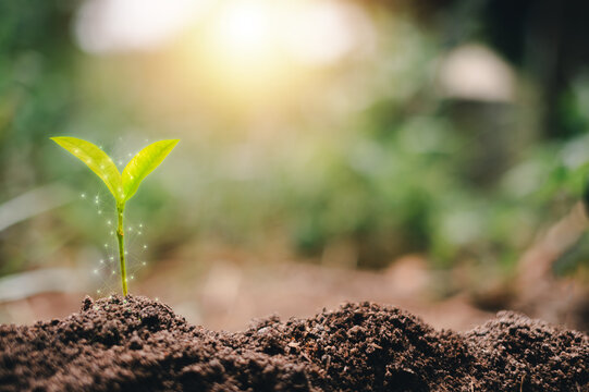 Beginning Images – Browse 1,615,025 Stock Photos, Vectors, and Video ...