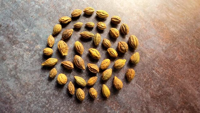 Chebula Images – Browse 682 Stock Photos, Vectors, and Video | Adobe Stock