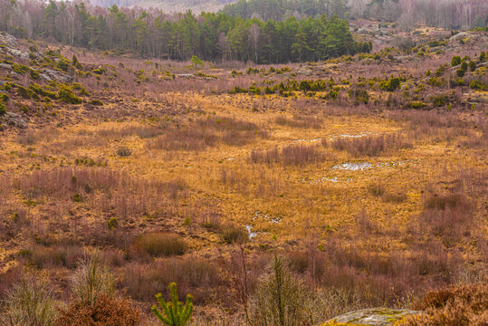 Scrubland bilder – Bläddra bland 36,248 stockfoton, vektorer och videor ...