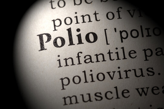รูปภาพPoliomyelitis – เลือกดูภาพถ่ายสต็อก เวกเตอร์ และวิดีโอ4,766 ...