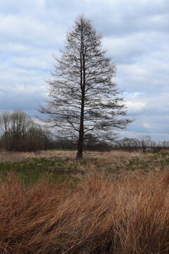 รูปภาพOlcha – เลือกดูภาพถ่ายสต็อก เวกเตอร์ และวิดีโอ195 | Adobe Stock