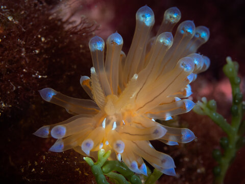 รูปภาพJanolus – เลือกดูภาพถ่ายสต็อก เวกเตอร์ และวิดีโอ170 | Adobe Stock