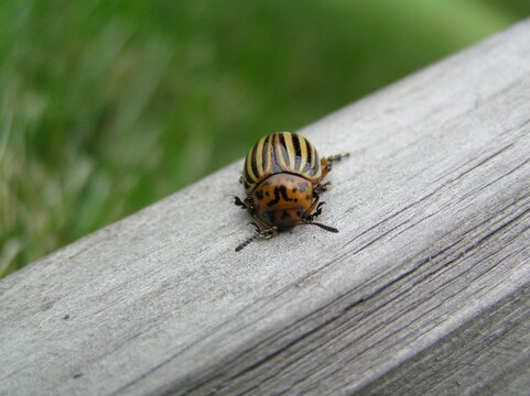 Stonka Images – Browse 75 Stock Photos, Vectors, and Video | Adobe Stock